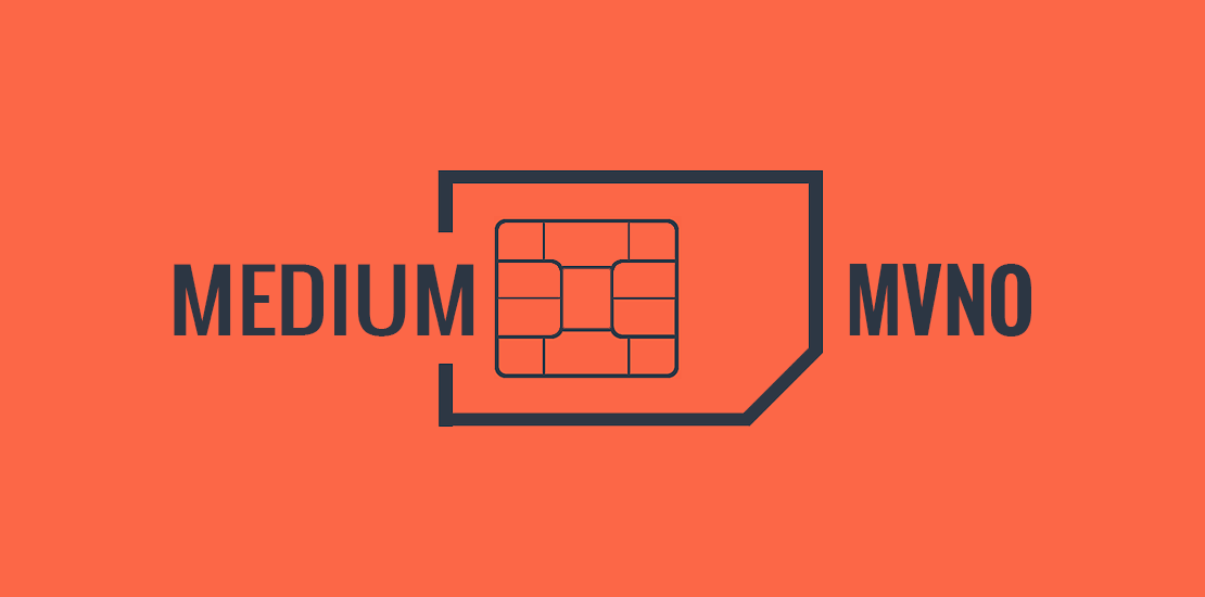 A Guide to the Enhanced Service Provider (Medium MVNO) Model